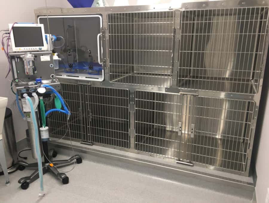 Take A Tour Of Our Facility | Van Meter Veterinary Clinic | Van Meter, IA